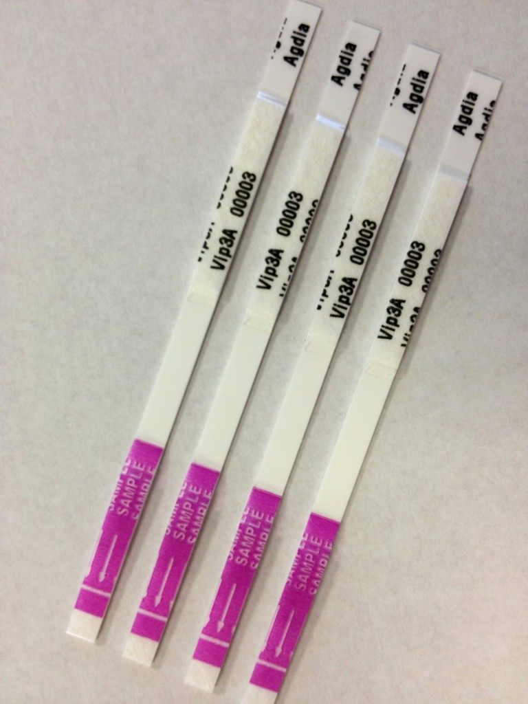 Vip3A ImmunoStrip® For testing Transgenic Corn Containing Event MIR162